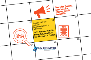 Transfer Pricing Services for Master File and Local File | Professional ...